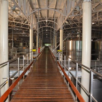 Stainless Steel Cat Walk System | Regbar Construction